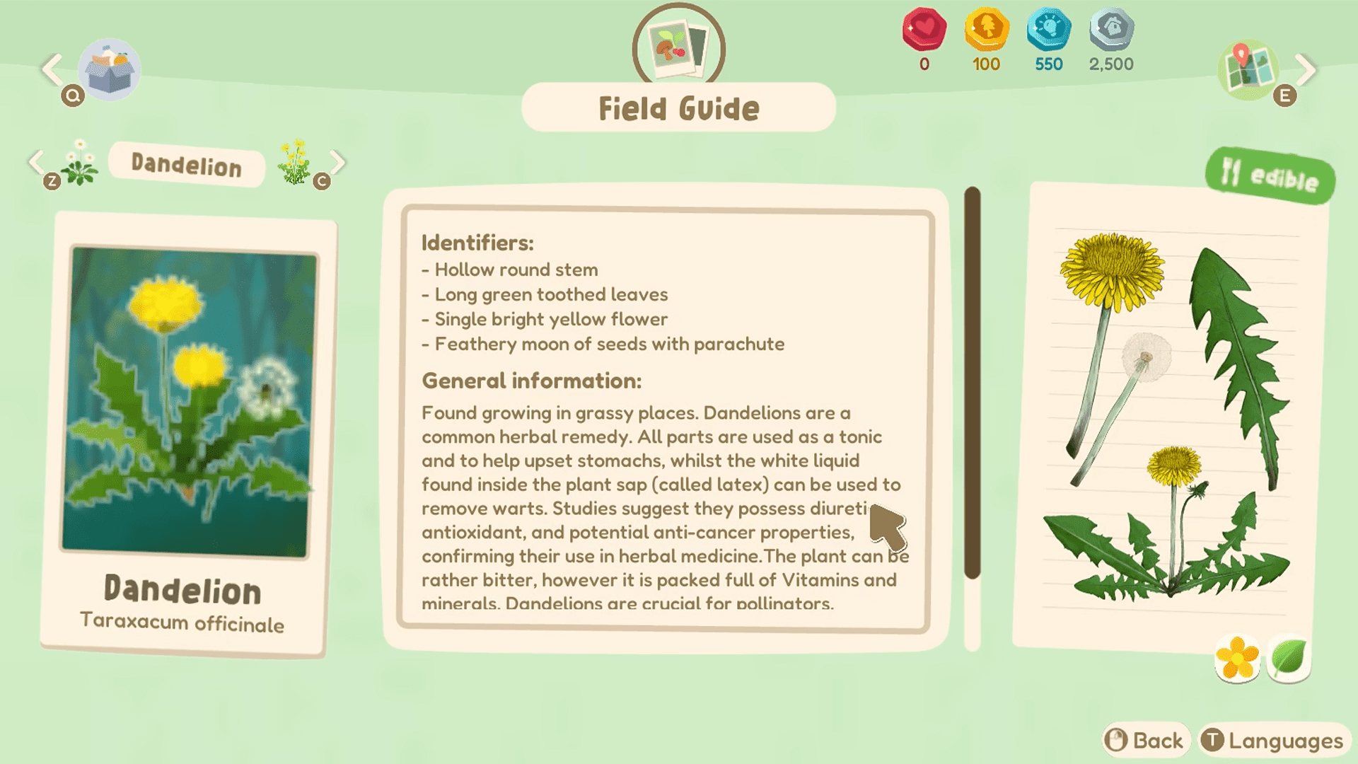Out and About Game Review (Early Access) – A Gentle Stroll Through ...
